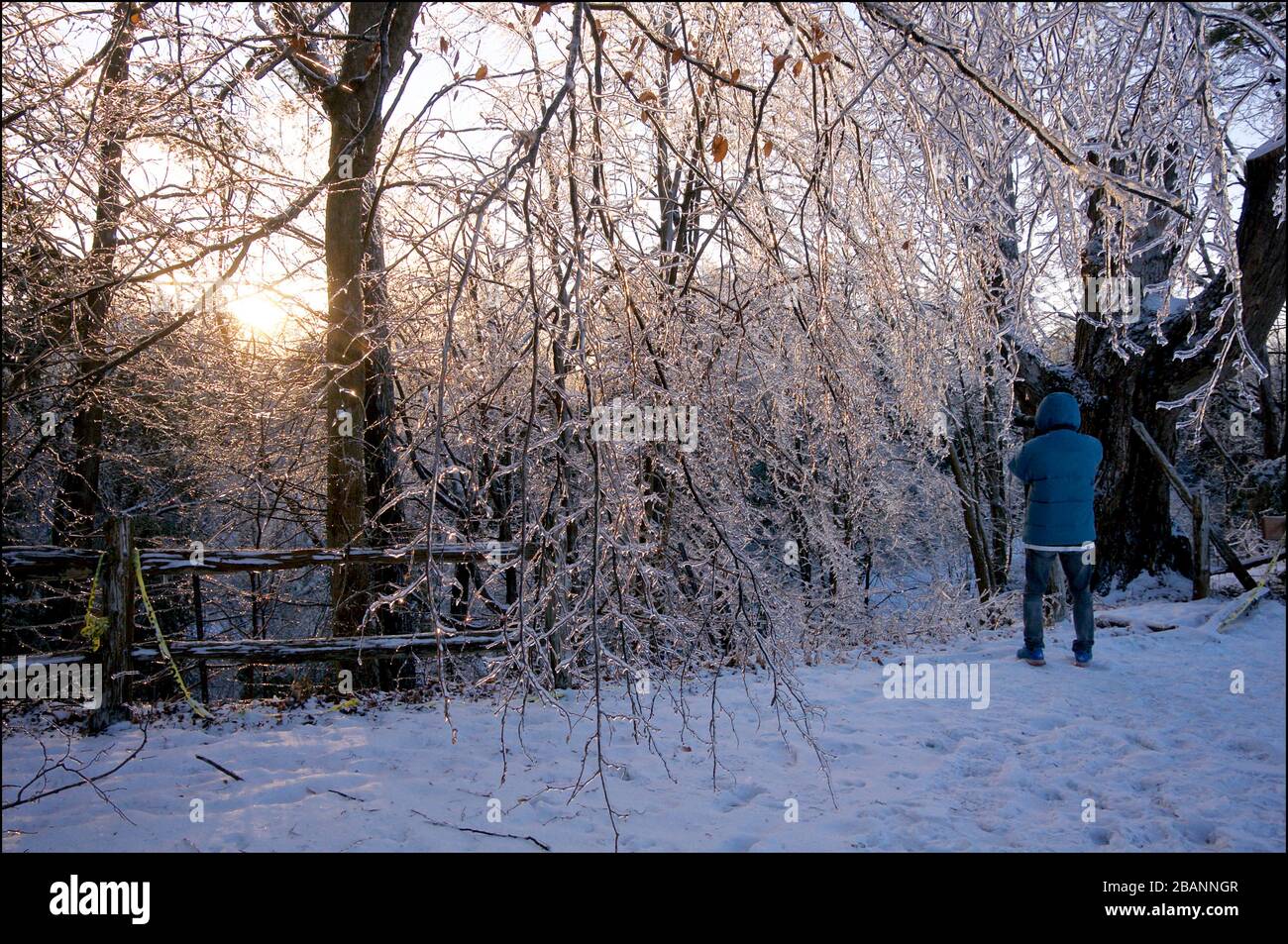 Winter landscape after the freezing rain storm, severe weather Stock ...