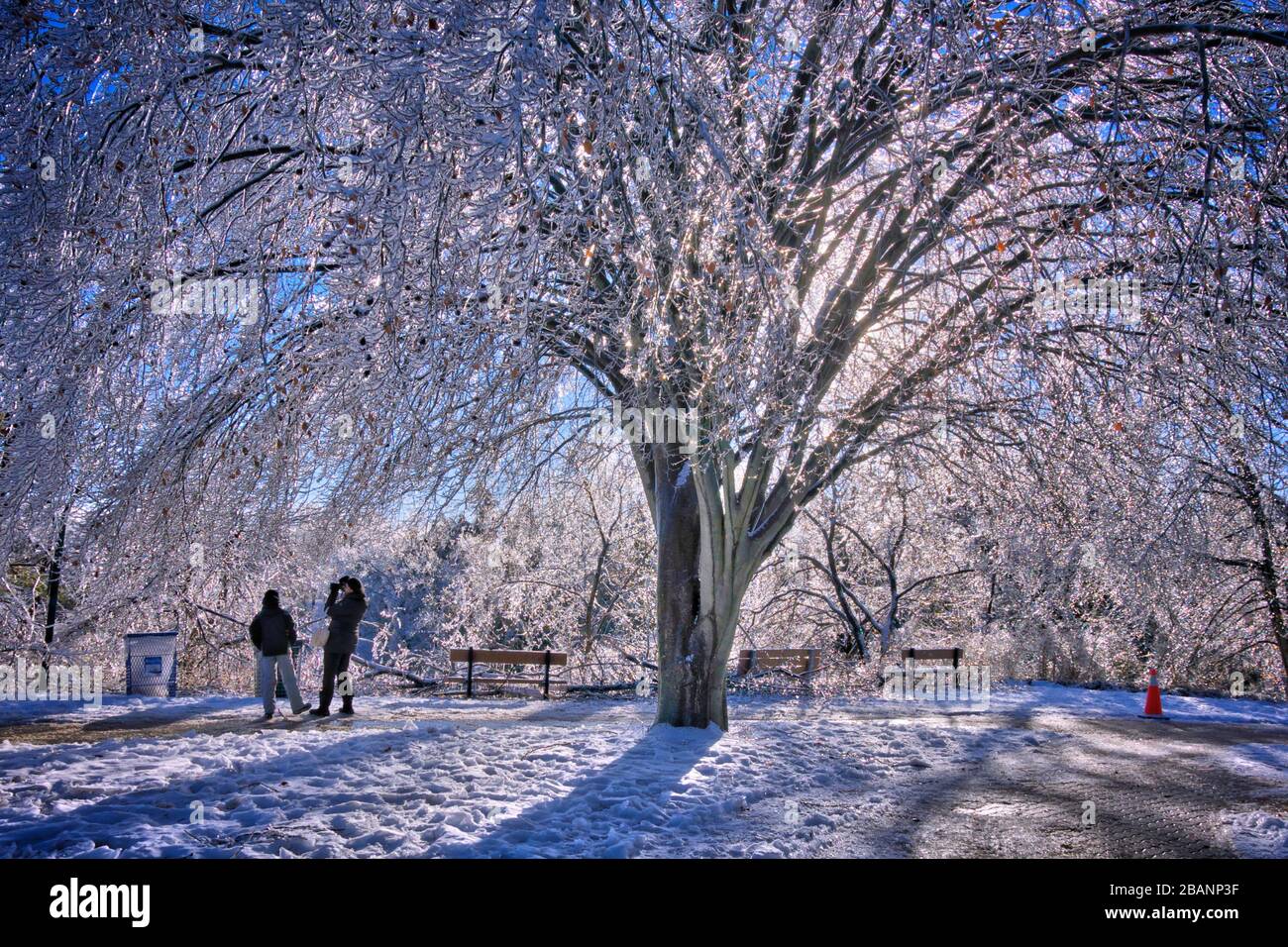 Winter landscape after a freezing rain storm, severe weather Stock ...