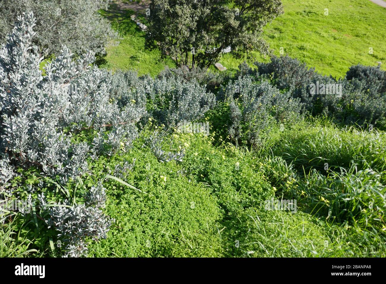 Necropolis kerameikos athens hi-res stock photography and images - Alamy