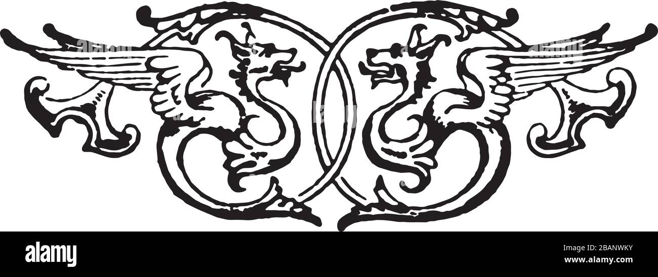 Two Griffins Vintage Engraved line art drawing black and white ...