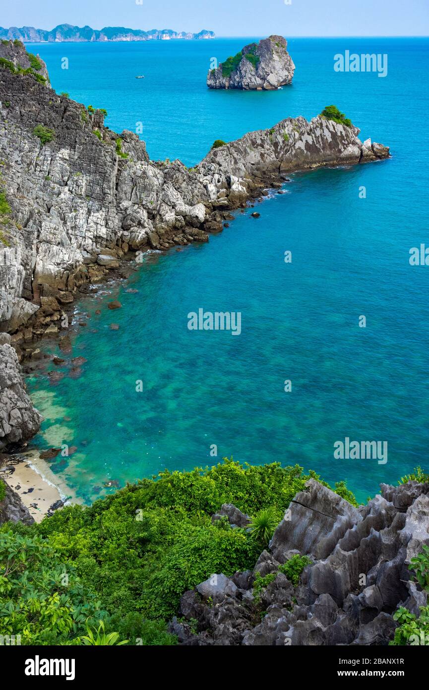 Beautiful azure water monkey hi-res stock photography and images - Alamy