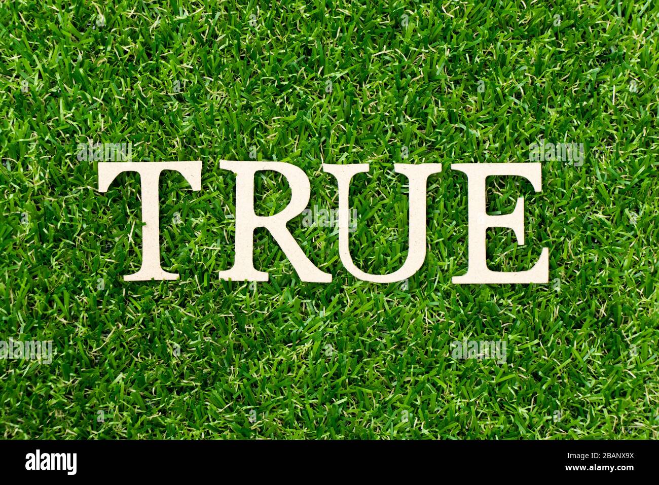 Wood letter in word true on green grass background Stock Photo - Alamy