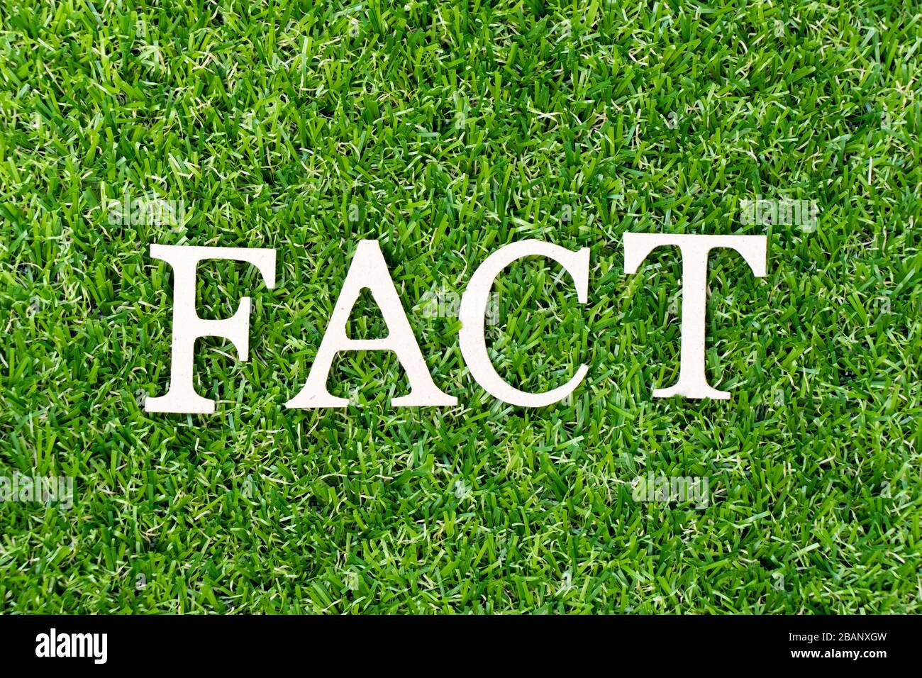 Wood letter in word fact on green grass background Stock Photo - Alamy