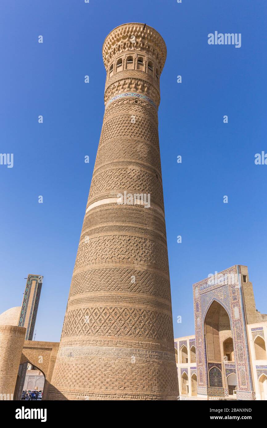 Kalon minaret, Bukhara, Buchara, Uzbekistan, Central Asia, Asia Stock Photo - Alamy
