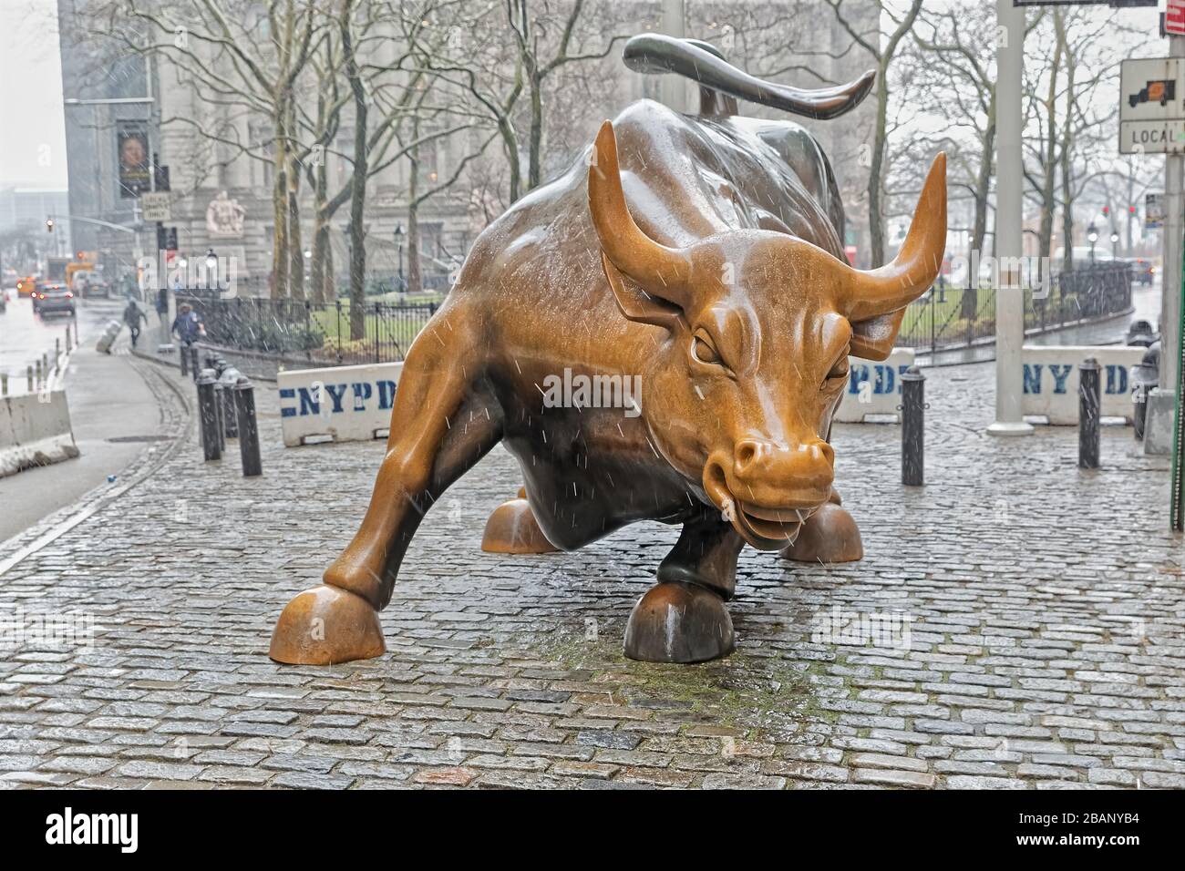 Charging Bull in Lower Manhattan New York Stock Photo - Alamy