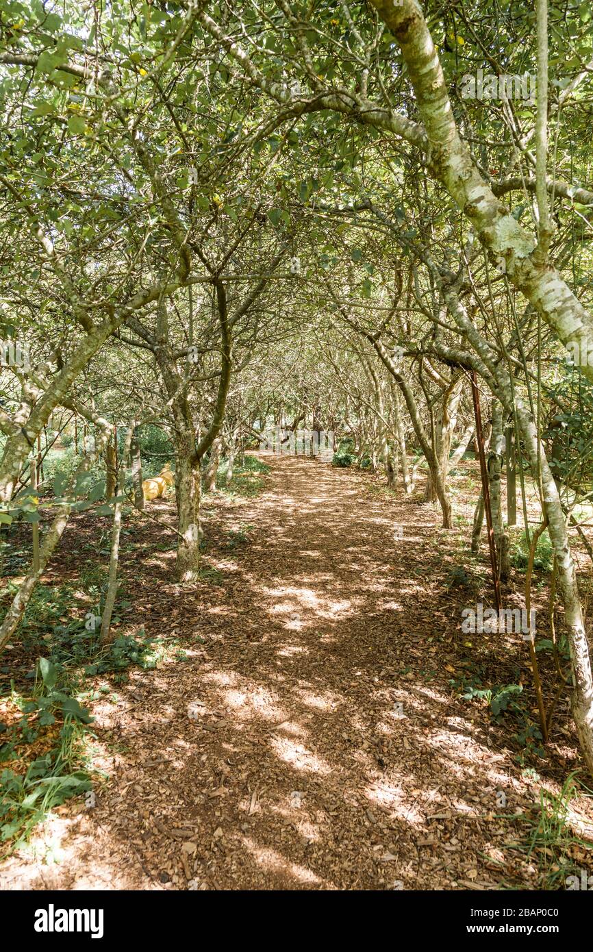 Dirt walkway hi-res stock photography and images - Alamy