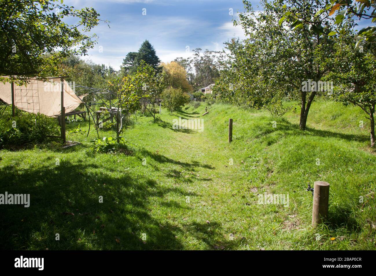 Grassy open space hi-res stock photography and images - Alamy