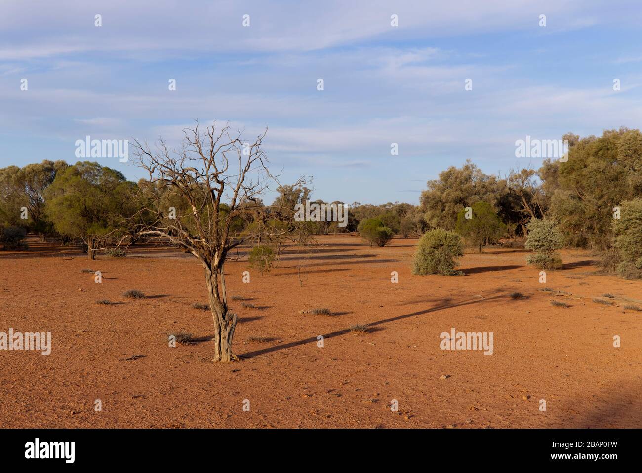 Arid landcscape of the outback near the village of Yowah Queensland ...