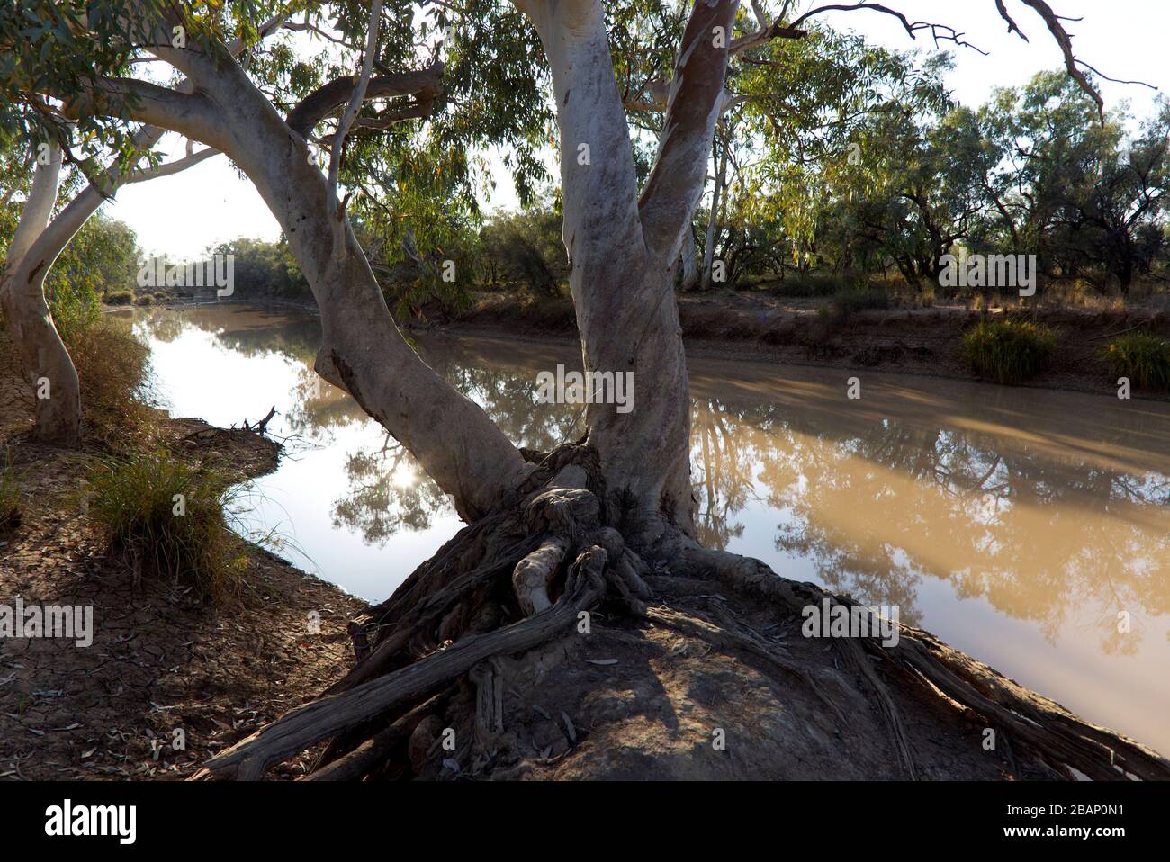 Bulloo shire hi-res stock photography and images - Alamy