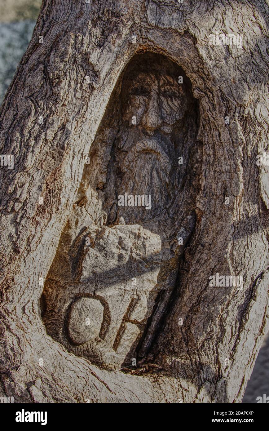 The Face Tree with a carving of Burkes face in the nearby tree to the ...