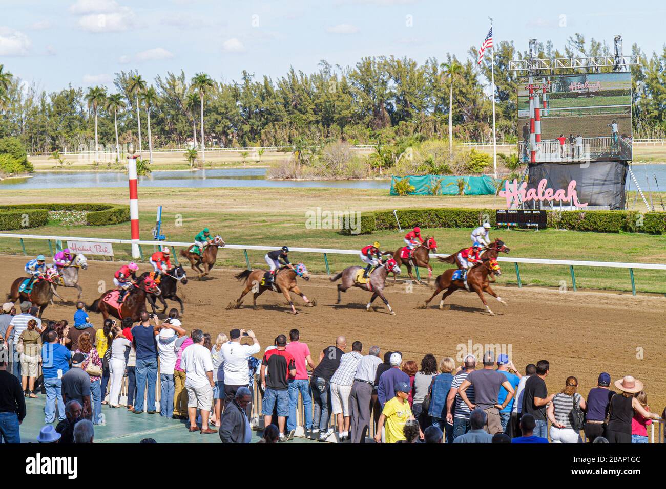 Photo Finish Horse High Resolution Stock Photography and Images - Alamy