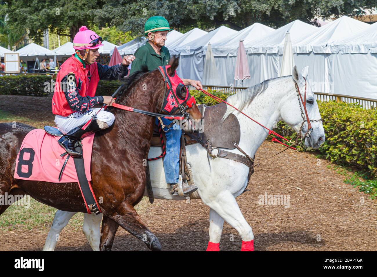 Hispanic Jockey On A Horse High Resolution Stock Photography and Images ...