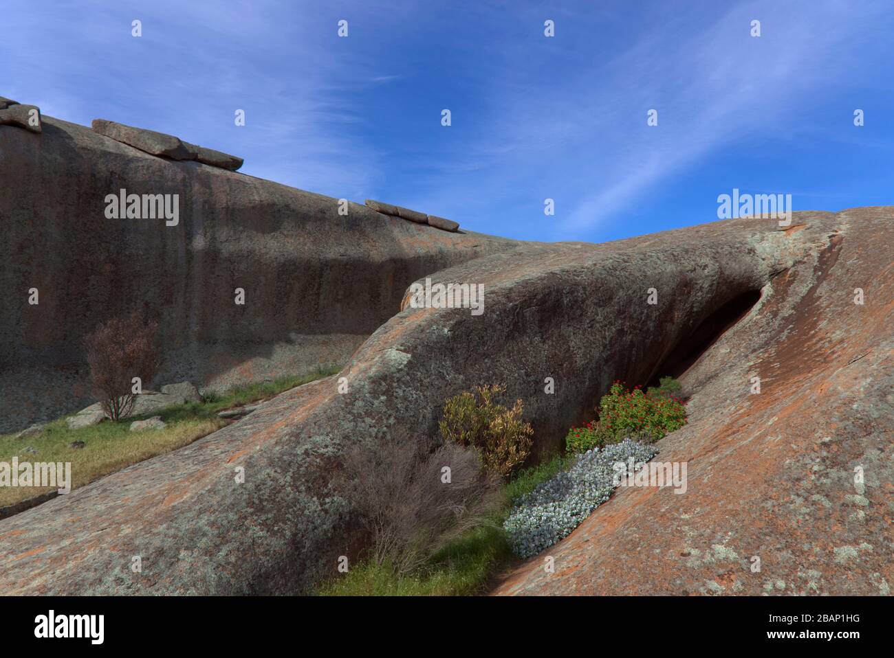 Pildappa australia hi-res stock photography and images - Alamy