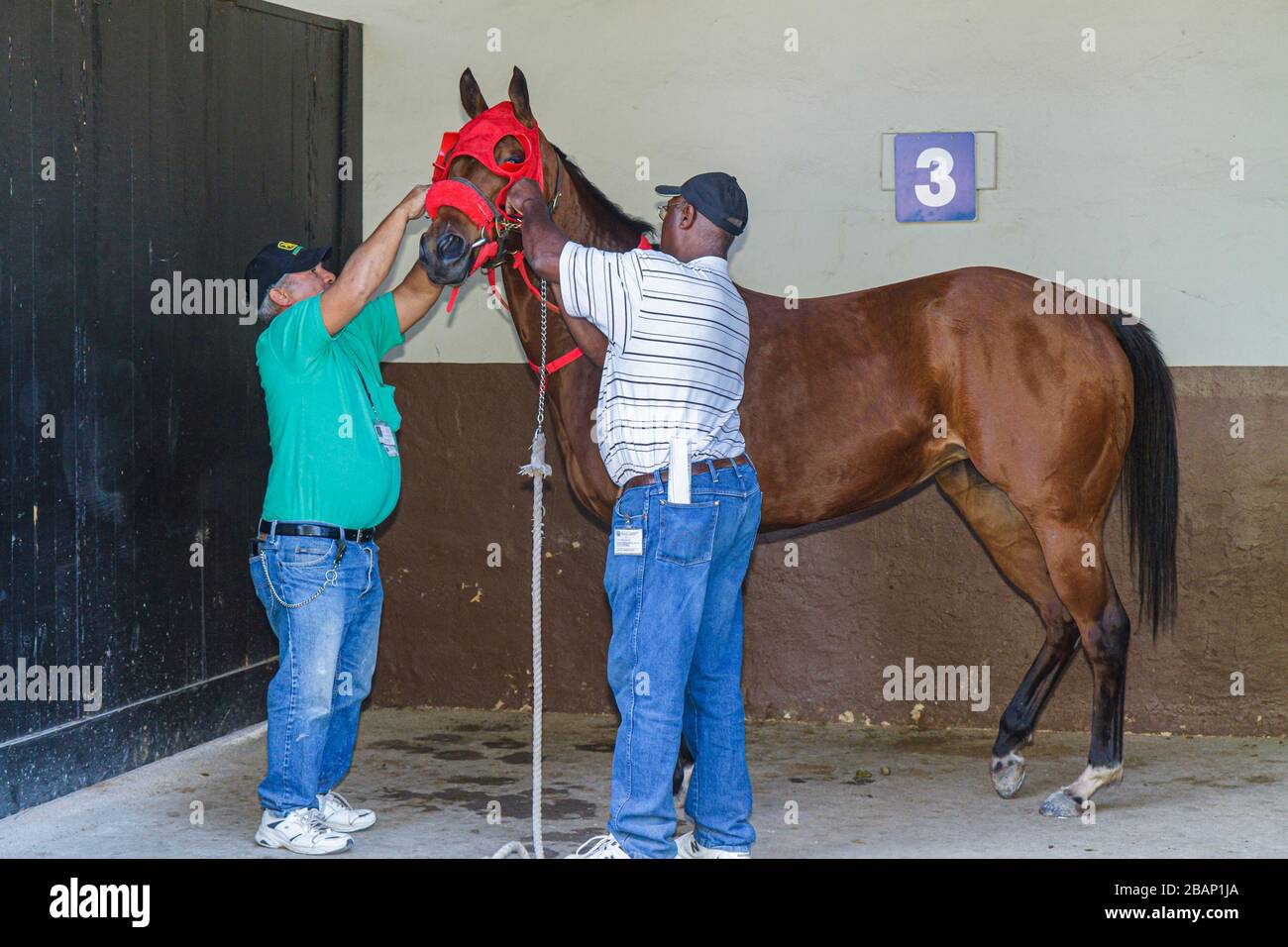 African horse racing hi-res stock photography and images - Alamy