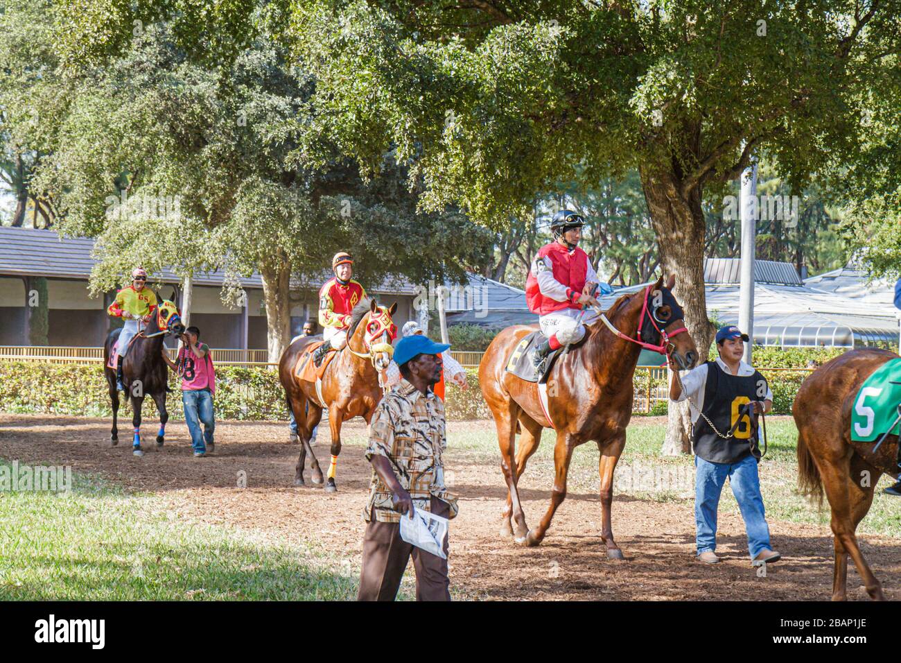 Hialeah Park Horse Racing High Resolution Stock Photography and Images ...