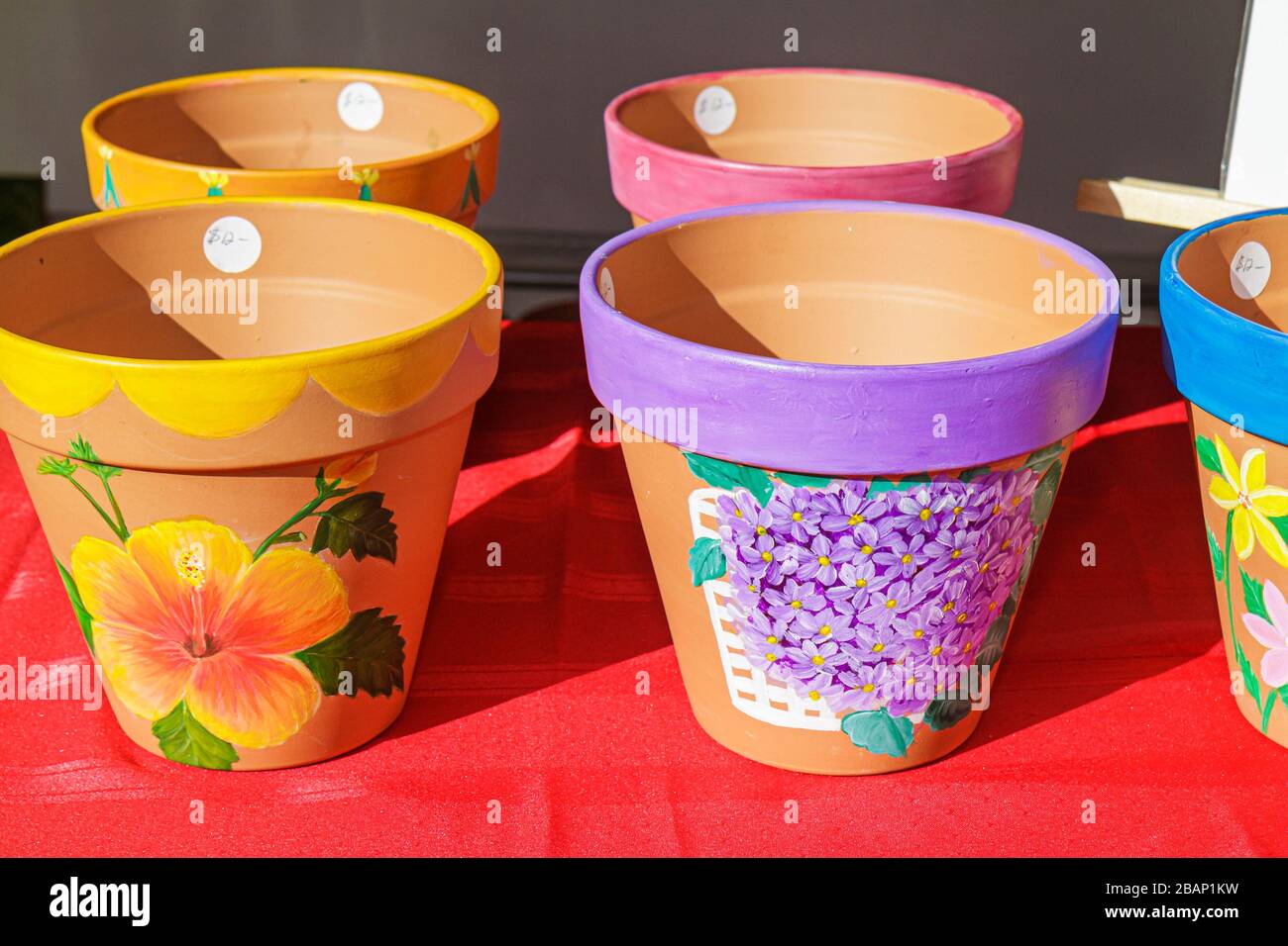 Miami Florida,Hialeah,Miami,Hialeah Park,Art in the Park,painted plant ...