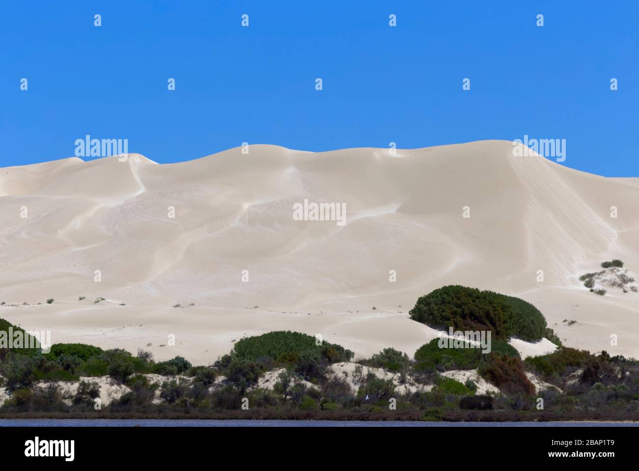 Mobile white sand dunes along the coast at Point Sinclair South ...