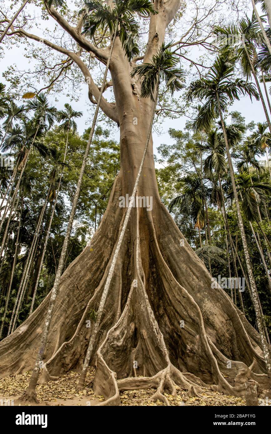 Uthai thani hi-res stock photography and images - Alamy