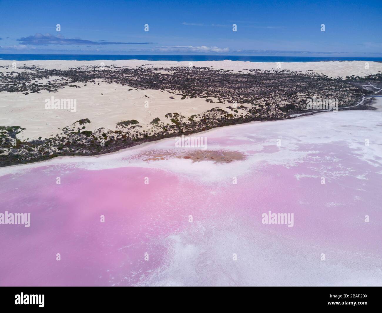 "The Pink Lake" which is a section of Lake MacDonnell near Penong South ...