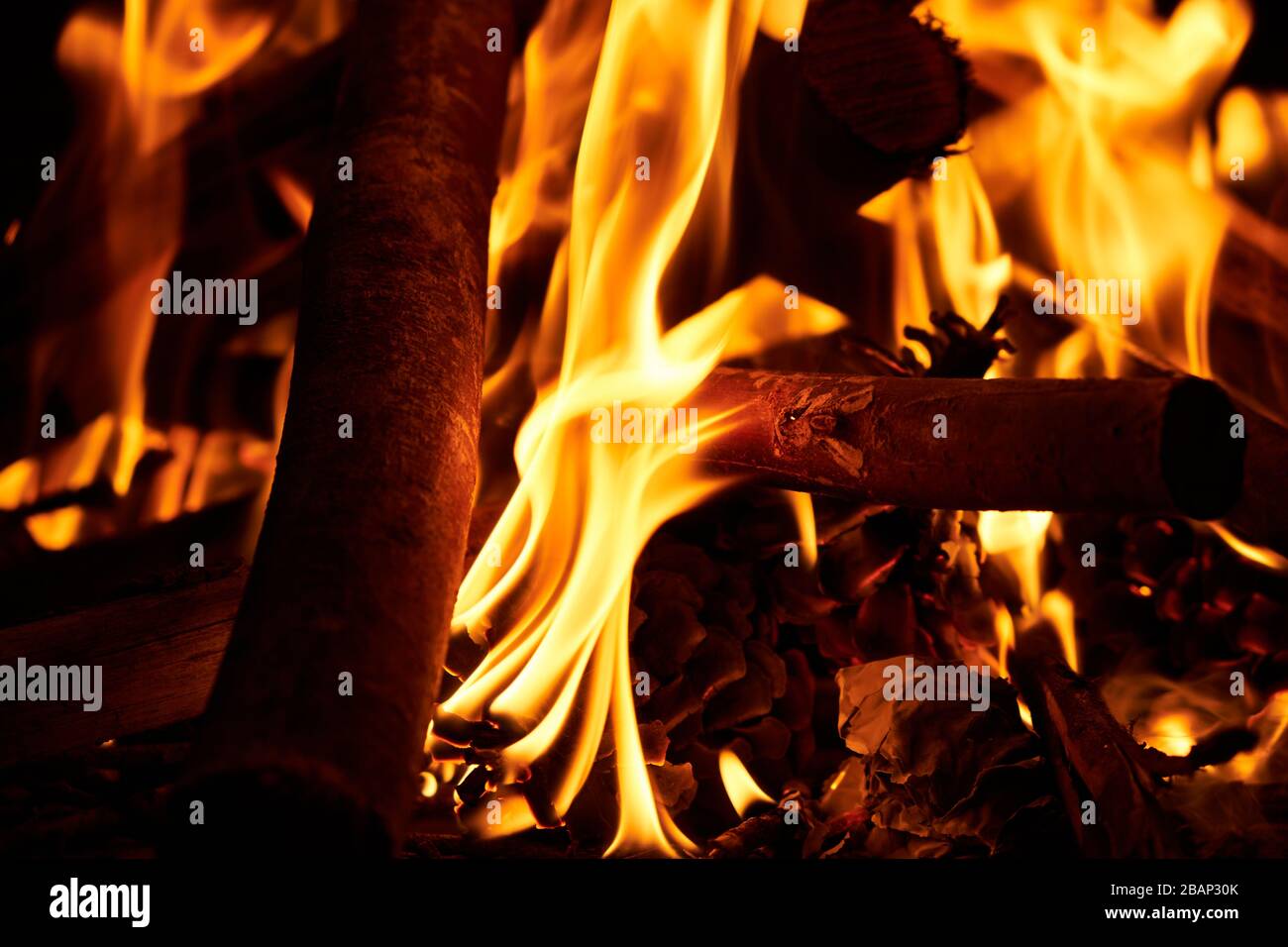 a close up view of firewood and pinecone on fire flames on the barbeque ...