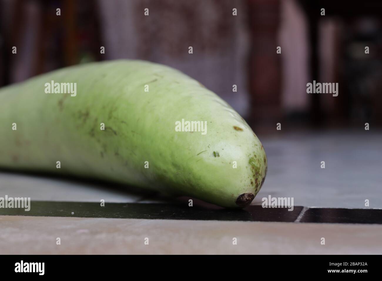 fresh green Creeper of bottle guard with white background Stock Photo ...
