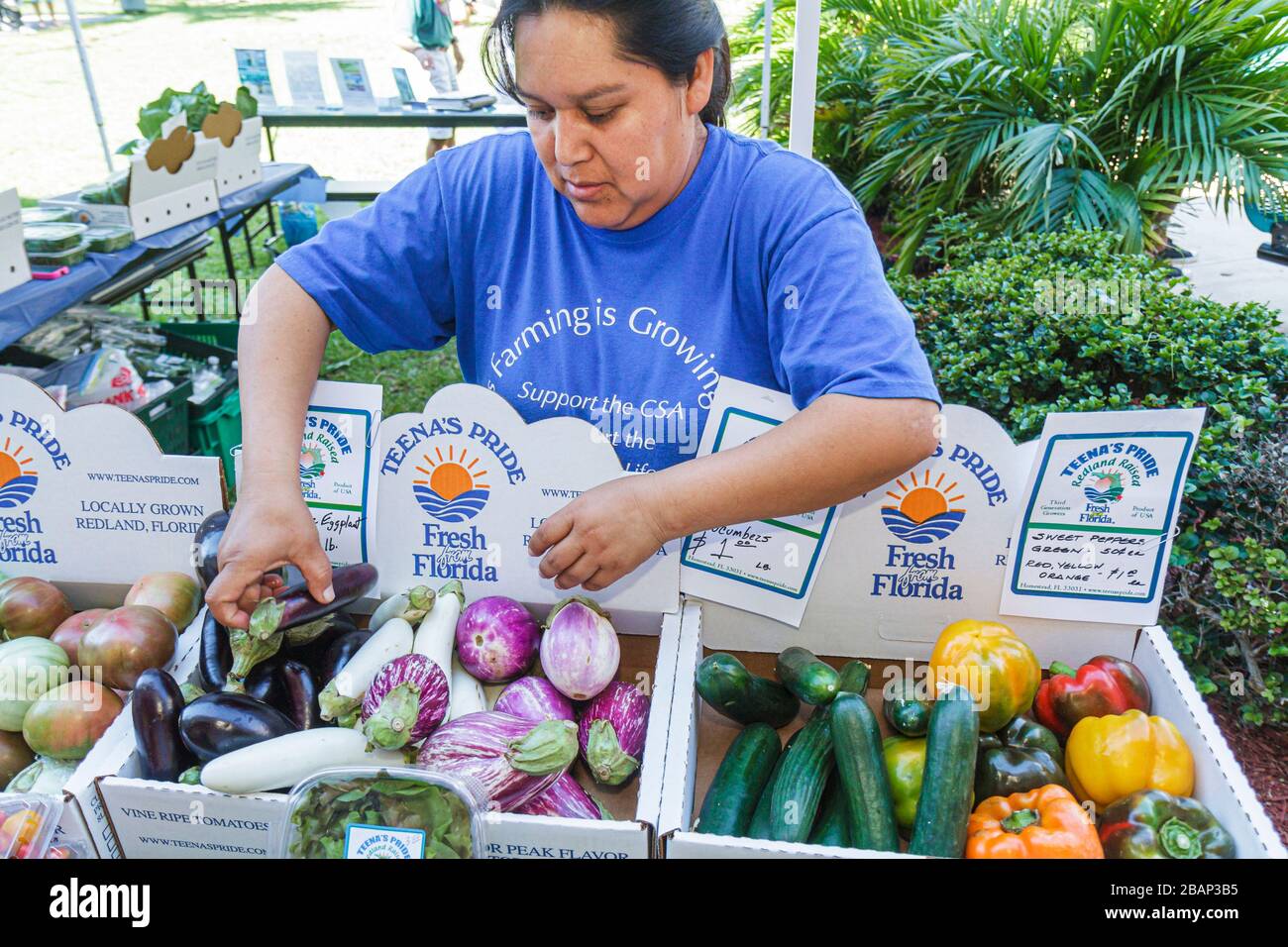 Owner stall stalls booth vendor vendors hi-res stock photography and ...