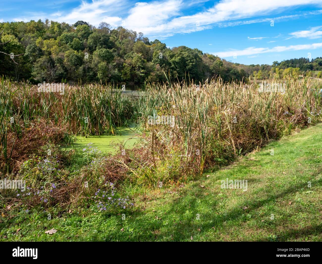 Rural pennsylvania crops hi-res stock photography and images - Alamy