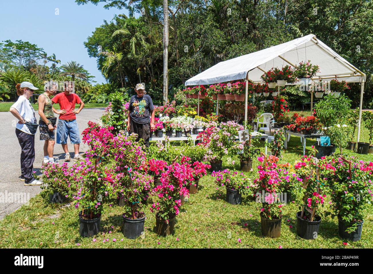 Fairchild tropical botanic garden in hi-res stock photography and ...