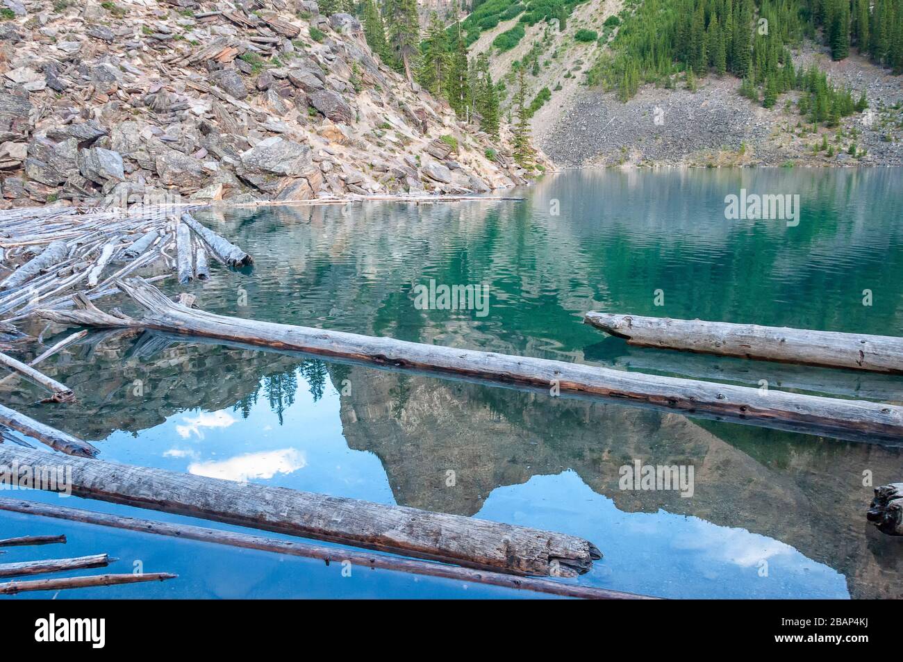 Timber harvesting canada hi-res stock photography and images - Alamy