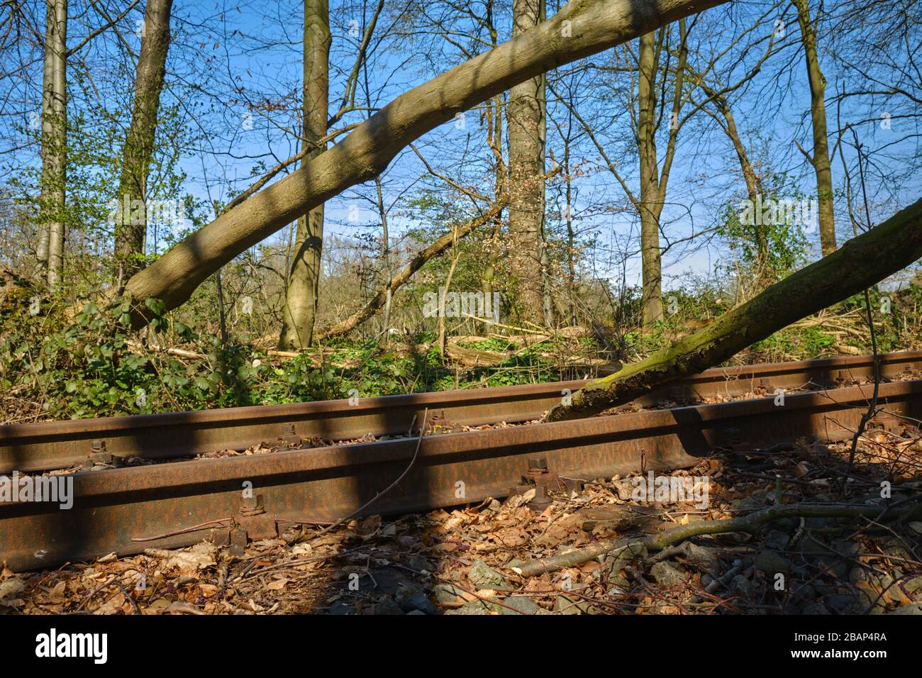 Fallen tree on track hi-res stock photography and images - Alamy