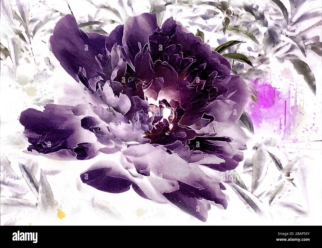 Abstract 3d digital paint illustration of a rose Stock Photo - Alamy