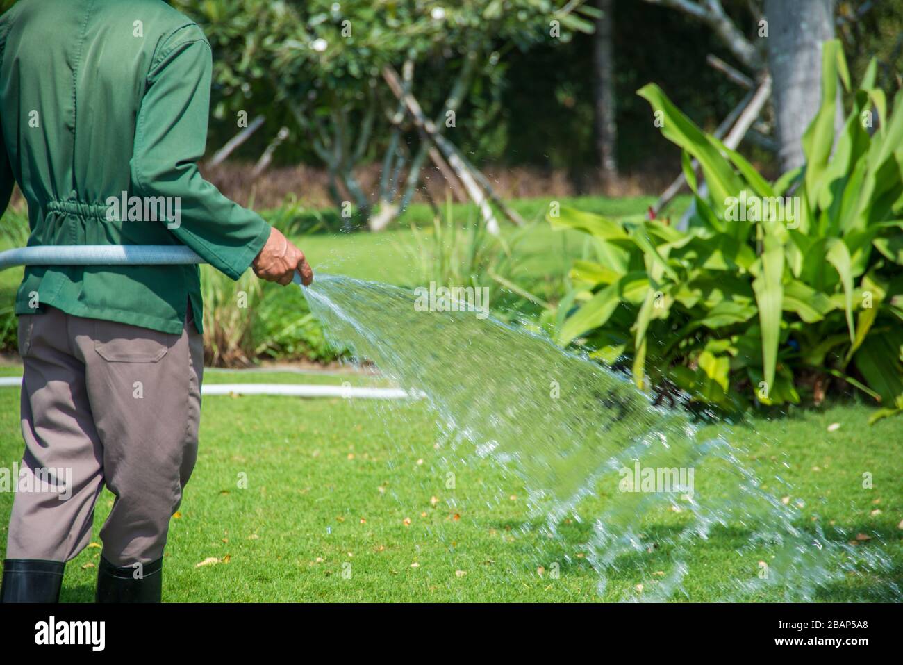 Man watering the garden with hose in the backyard Stock Photo - Alamy