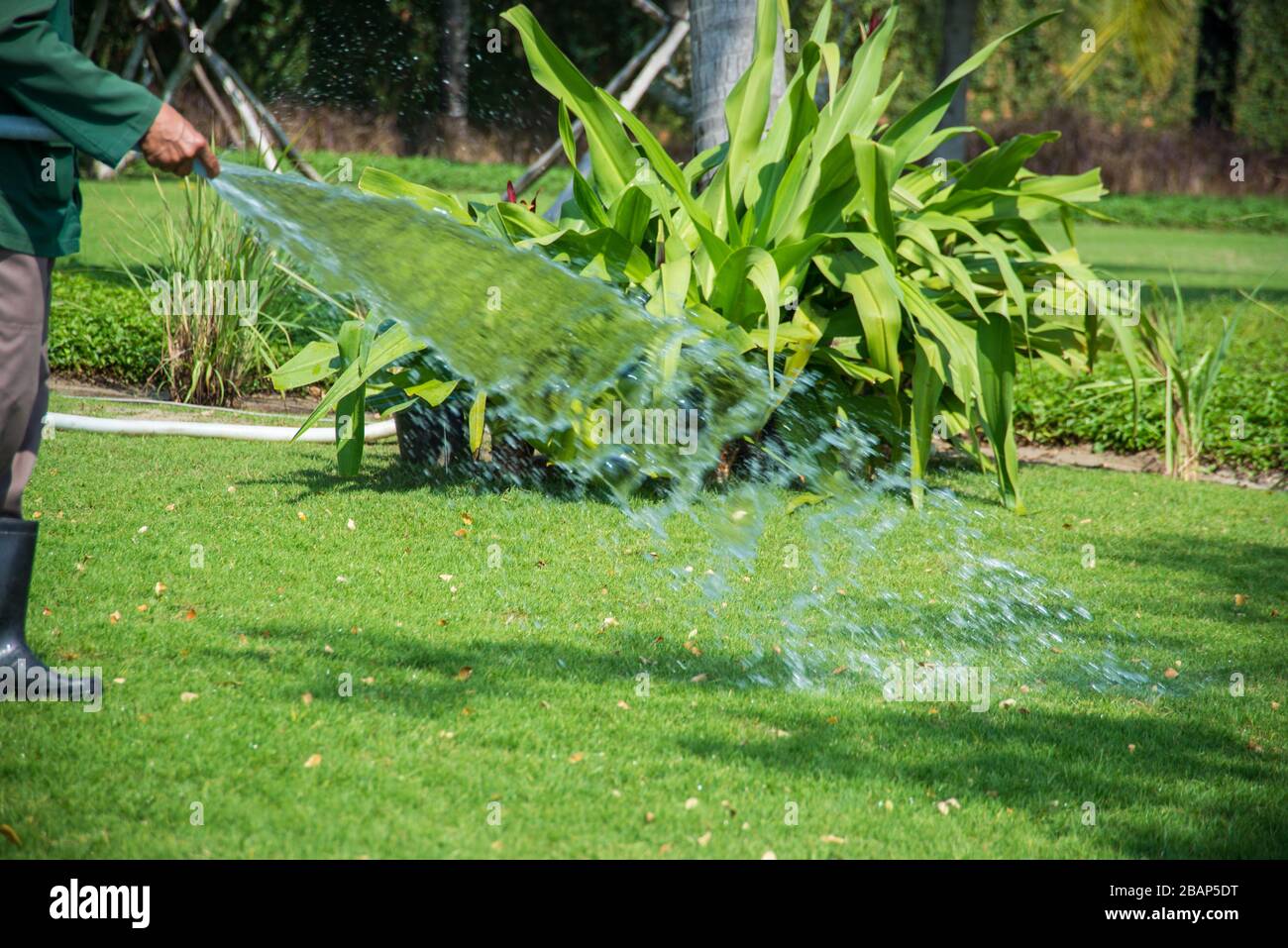 Garden man hand pouring grass with the water tap Stock Photo - Alamy