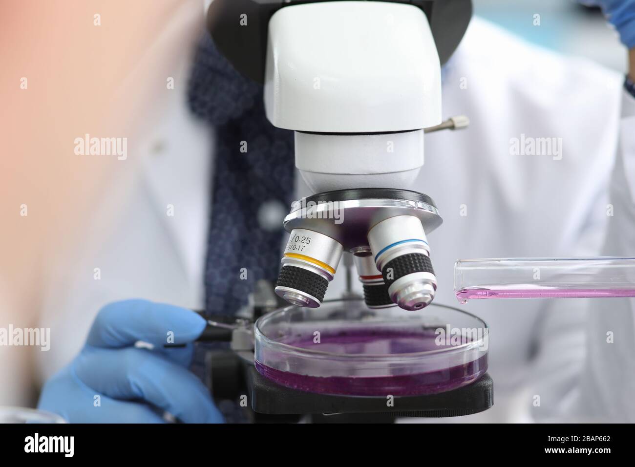 Pharmacist looks at test sample under microscope Stock Photo - Alamy