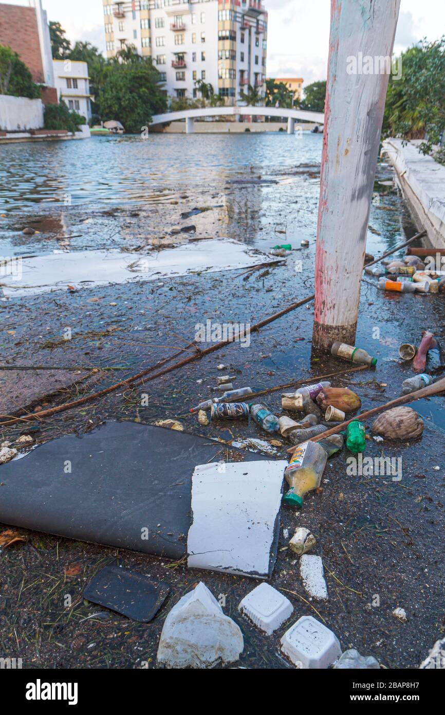 Miami Beach Florida,Lake Pancoast,Dade Canal,Indian Creek,pollution ...
