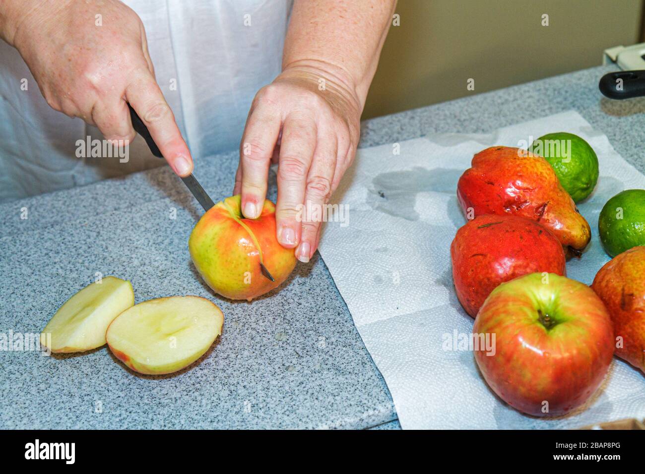 Miami Beach Florida,kitchen,making fruit fruits compote,apples,pears ...