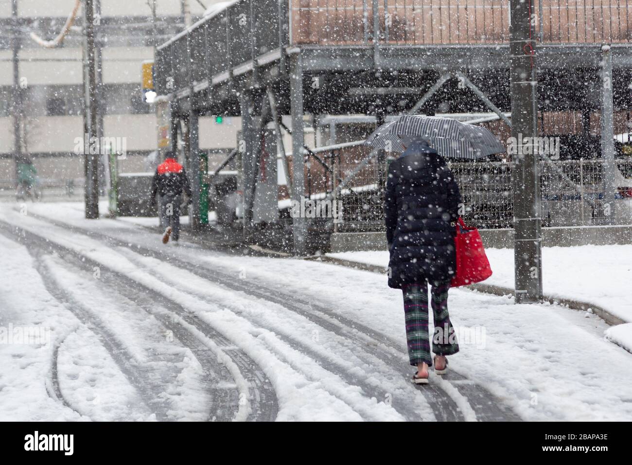 Tokyo, Japan. 29th Mar, 2020. People walk under a snowfall in Nerima ...
