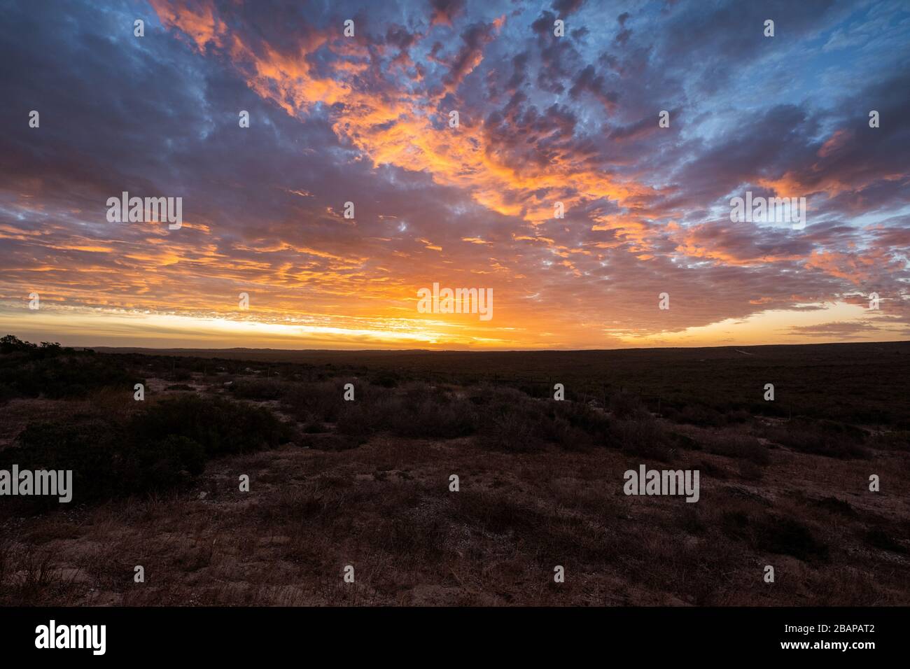 Savanna sunset africa hi-res stock photography and images - Alamy