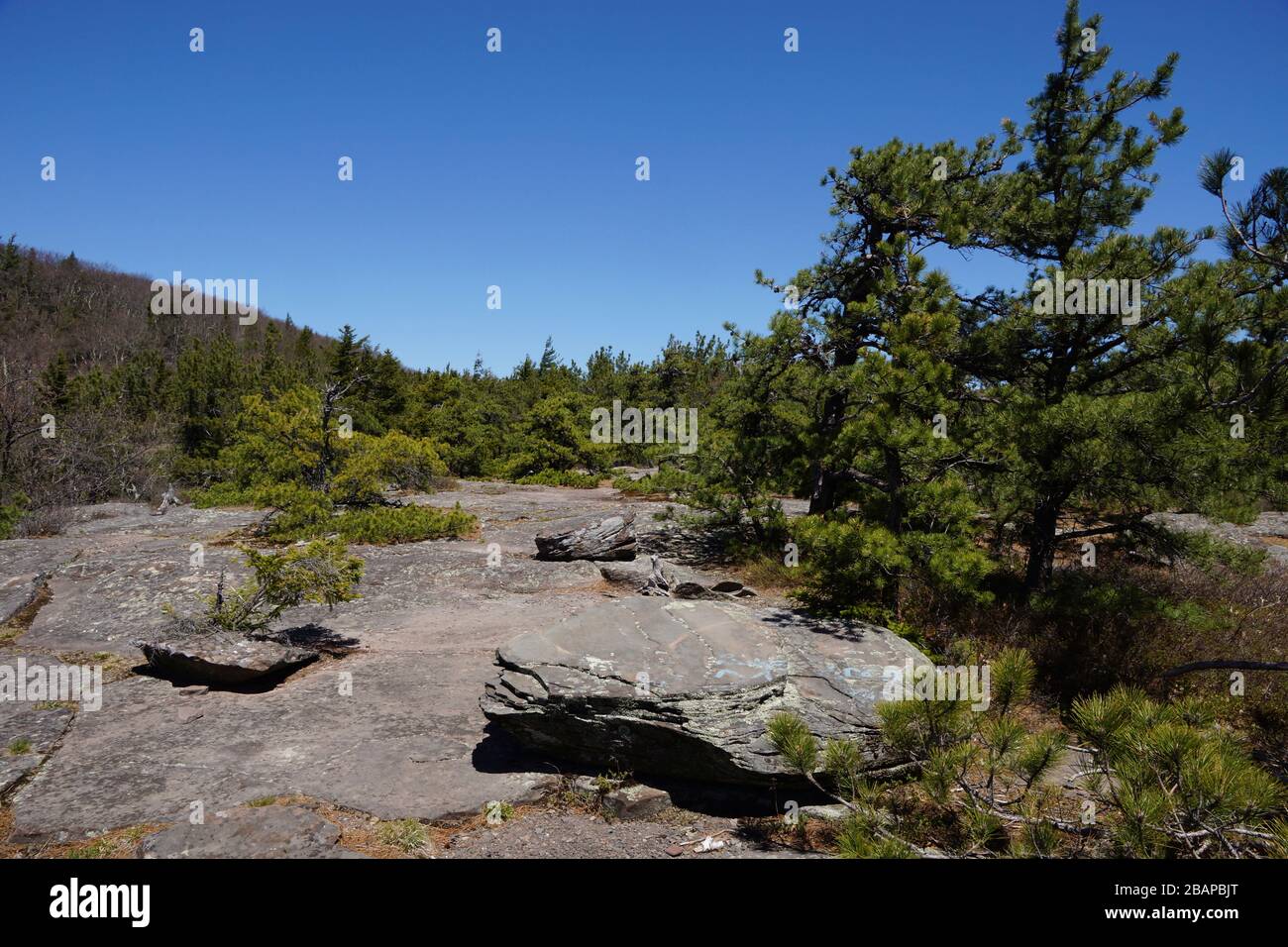 Hiking in the Catskill Mountains NY Stock Photo - Alamy