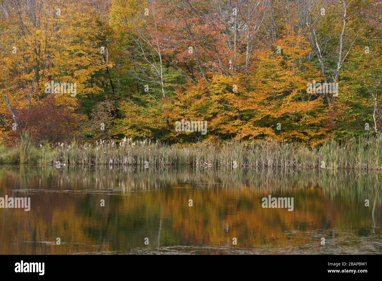 Autumn in the Catskill Mountains - Snake Pond near Andes NY Stock Photo ...