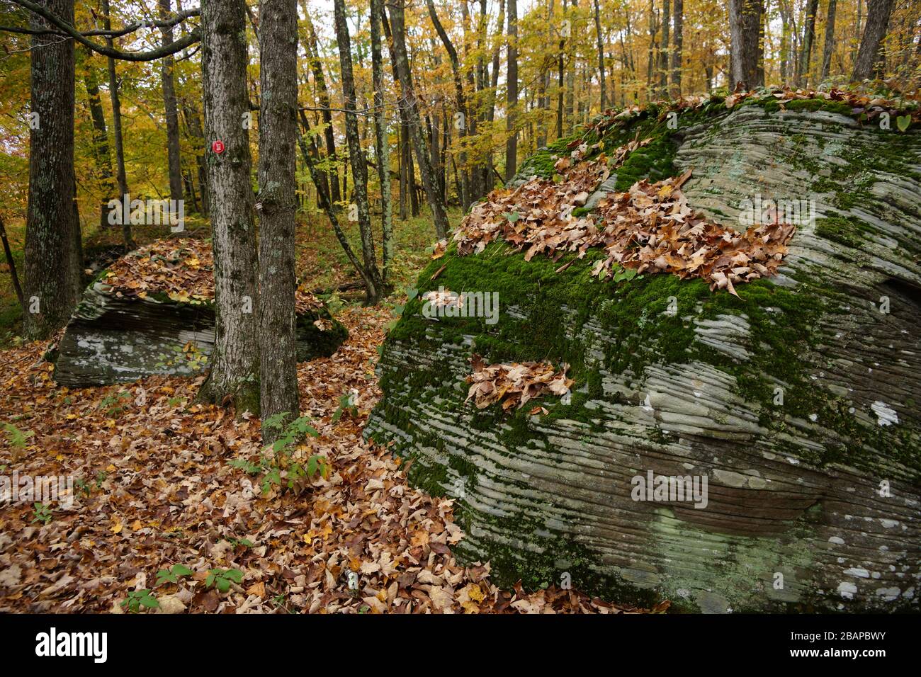 Autumn in the Catskill Mountains Stock Photo - Alamy