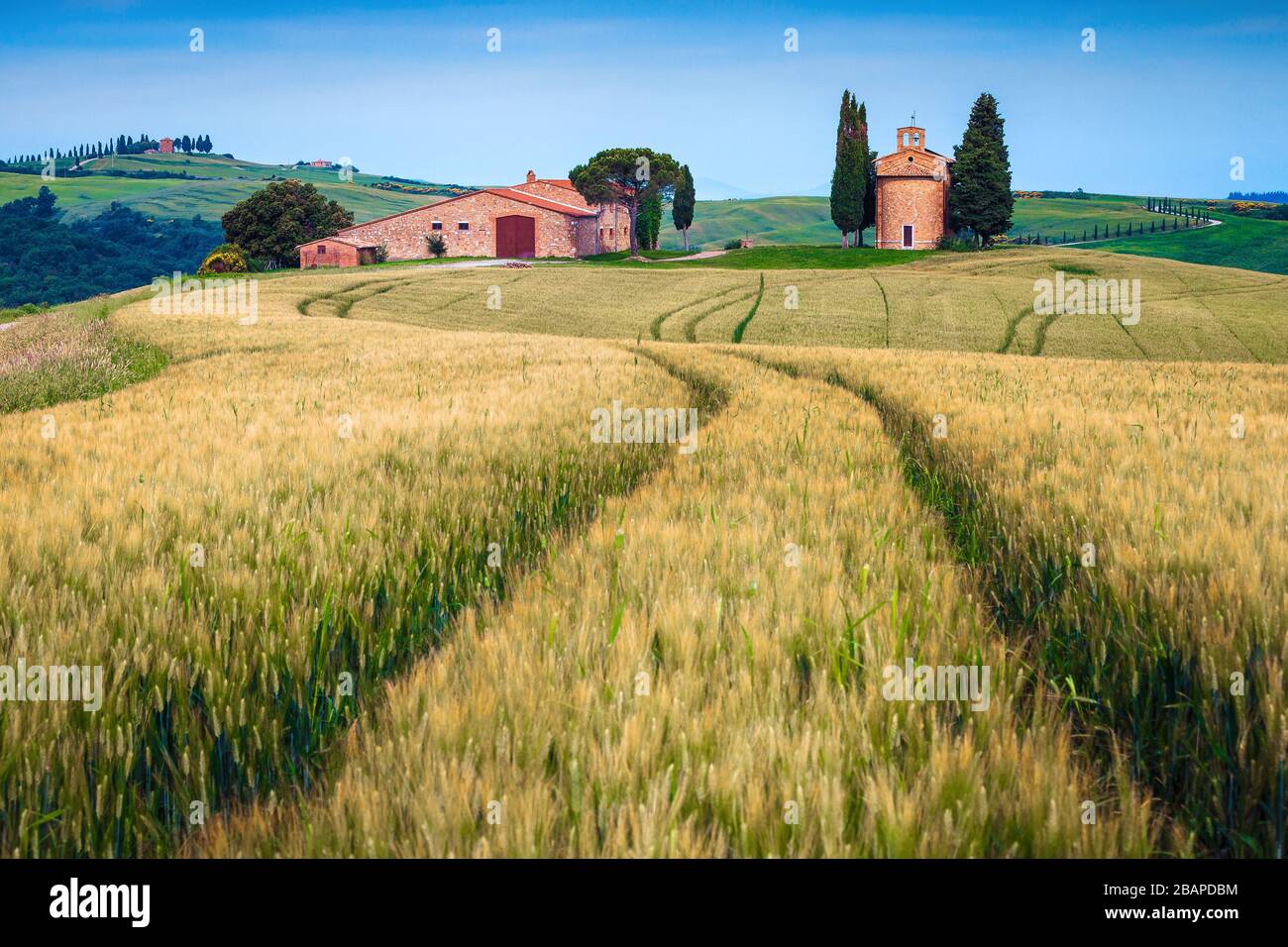 Tuscany rural landscape with grain fields and famous Vitaleta chapel ...