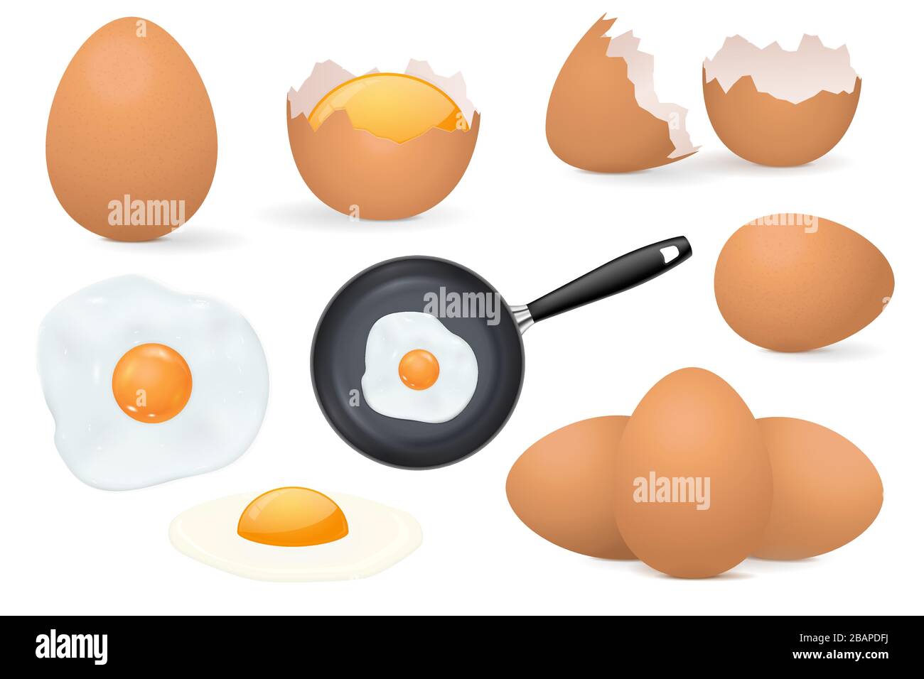 Chicken eggs. Raw and fried eggs, whole and broken shell Stock Vector ...
