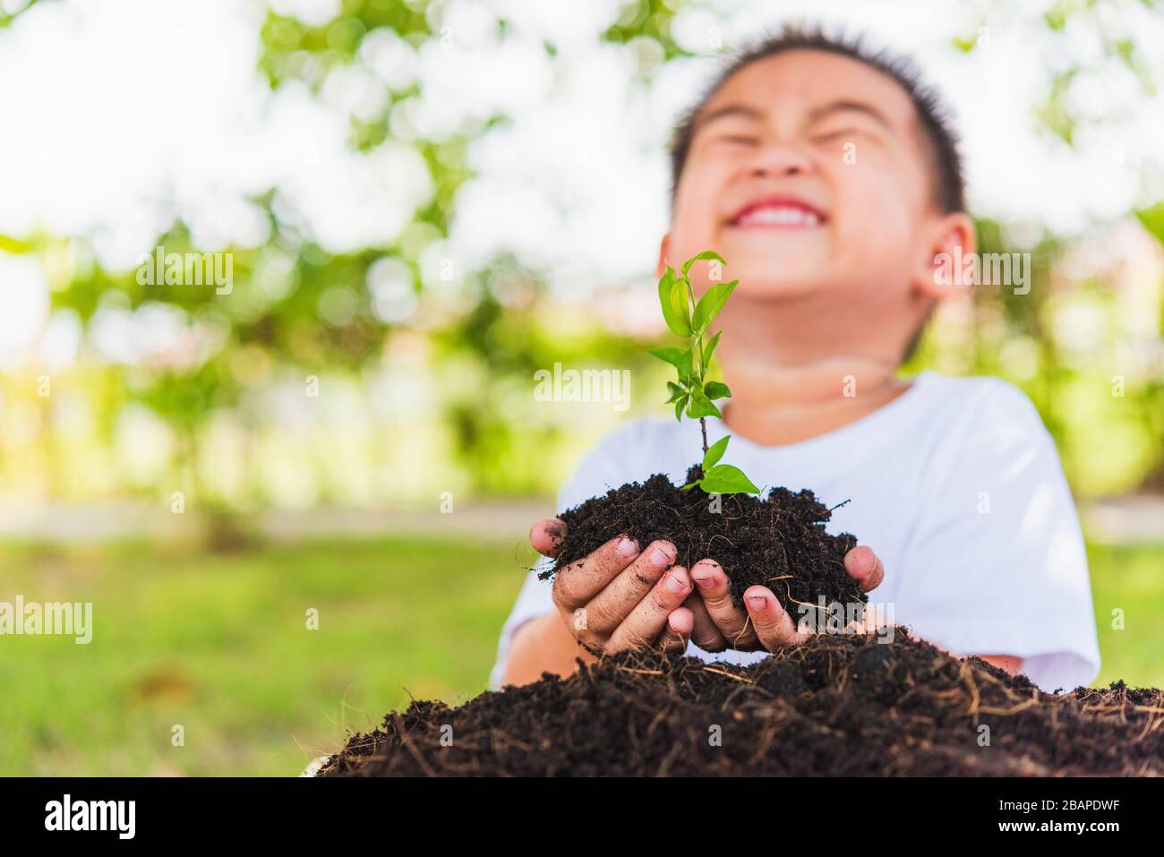 World Environment Day Environment Concept, Hand of Asian cute little ...