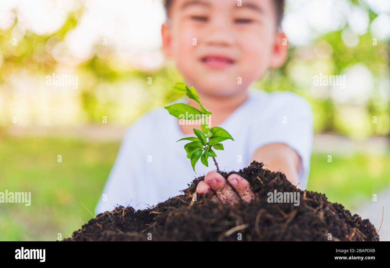 World Environment Day Environment Concept, Hand of Asian cute little ...