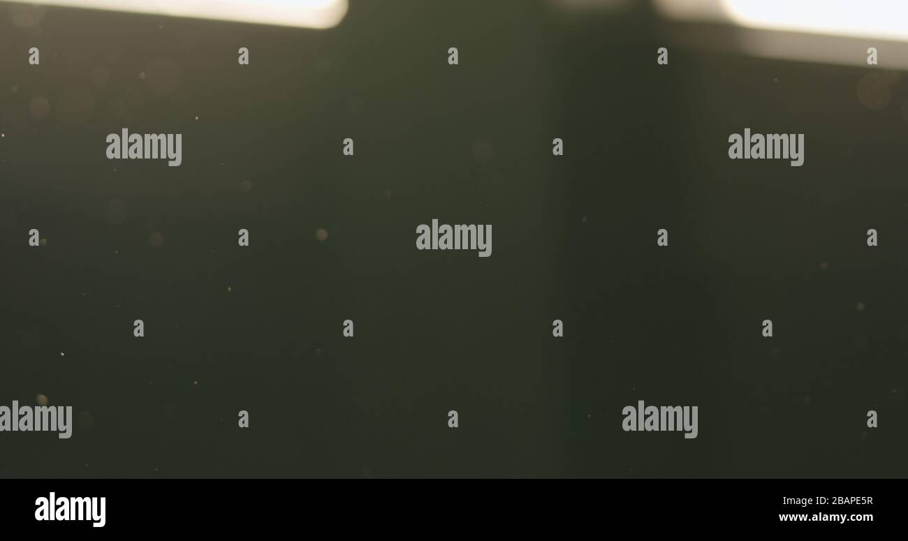 real dust particles floating in air with blurred background, wide photo ...