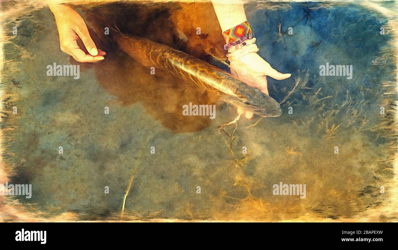 Fisherman holding northern pike hi-res stock photography and images - Alamy
