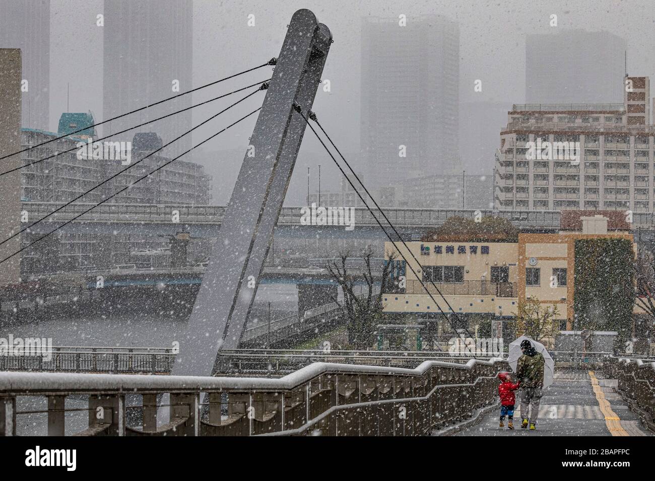 Tokyo, Japan. 29th Mar, 2020. Heavy snowfall hits Tokyo on a Sunday ...