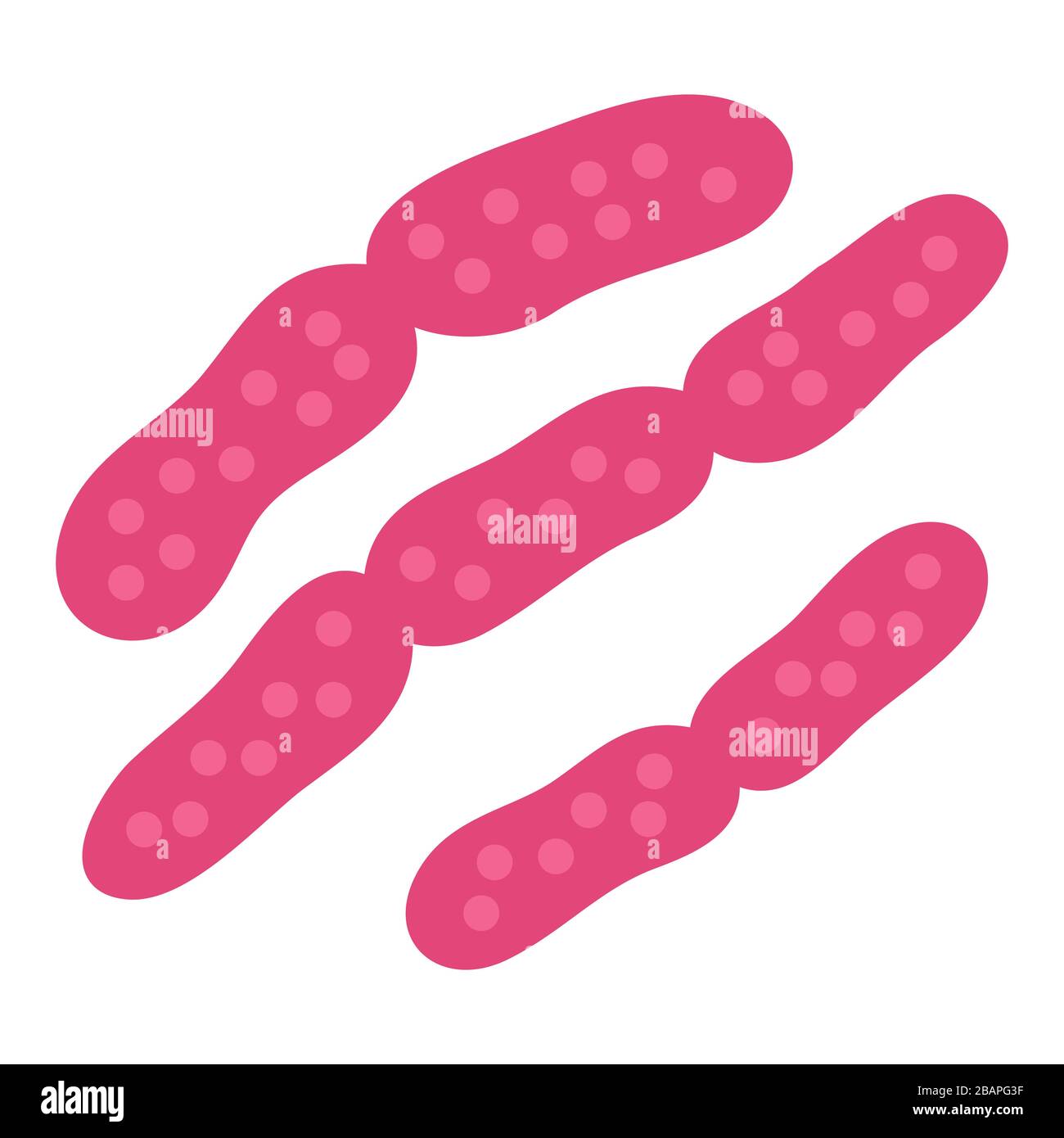 biotic cell bacteria icon with modern flat style icon color or colorful ...