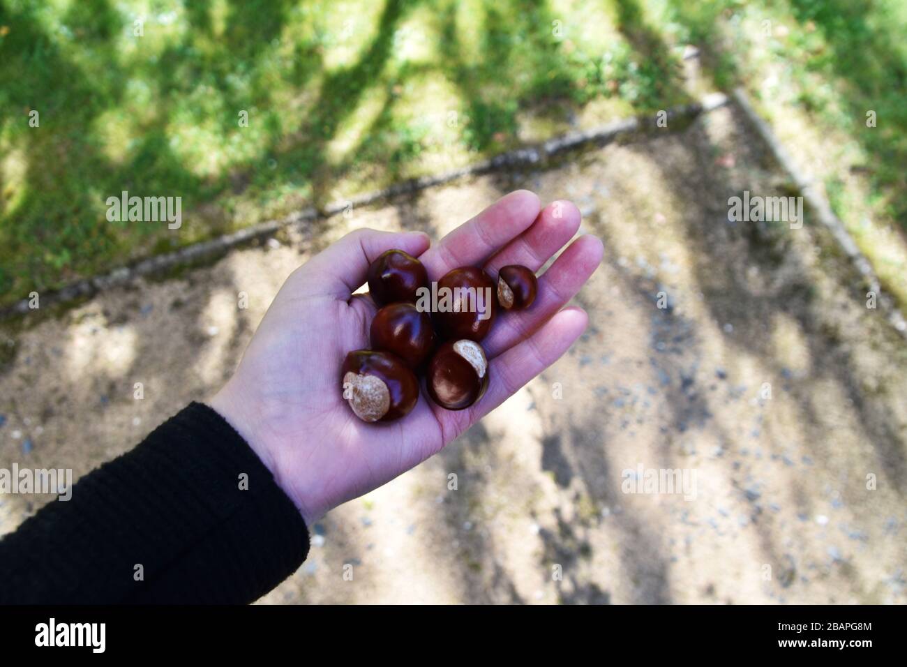 Walk in fall women hi-res stock photography and images - Alamy